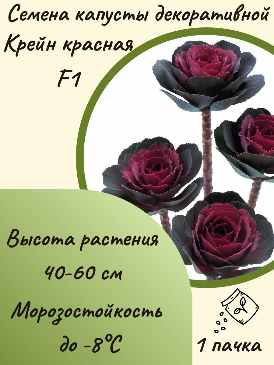 Семена капусты декоративной Крейн красная F1, 10 шт. семян