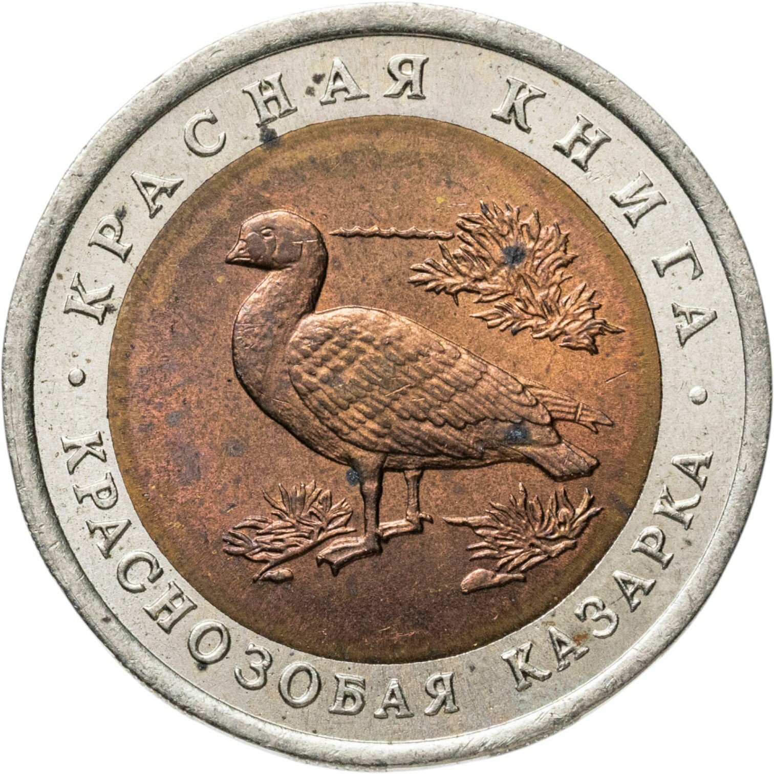 10 рублей 1992 ЛМД краснозобая казарка, Биметалл, в сохранности AU-UNC