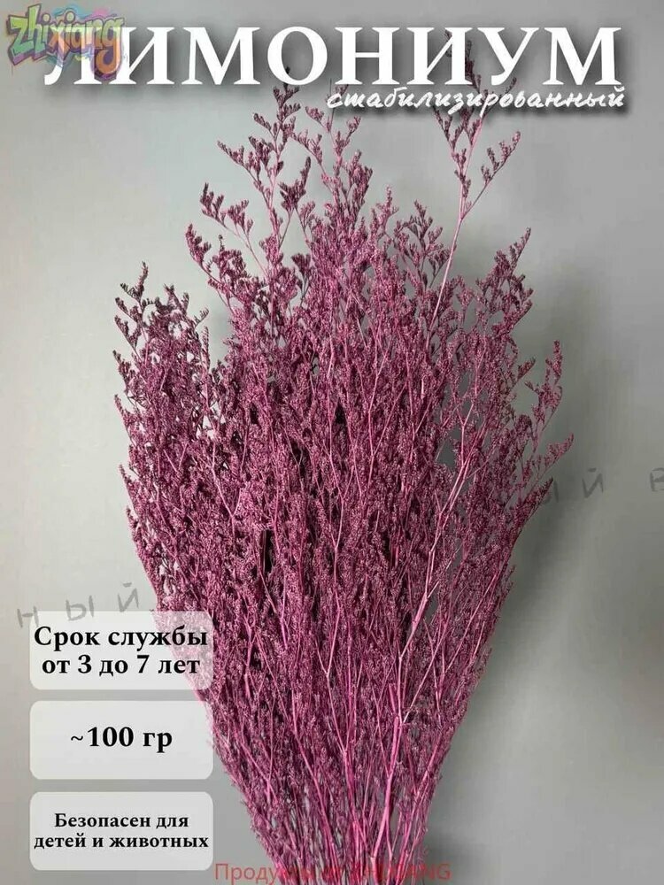 Стабилизированные цветы Лимониум, 80 гр, 1 шт