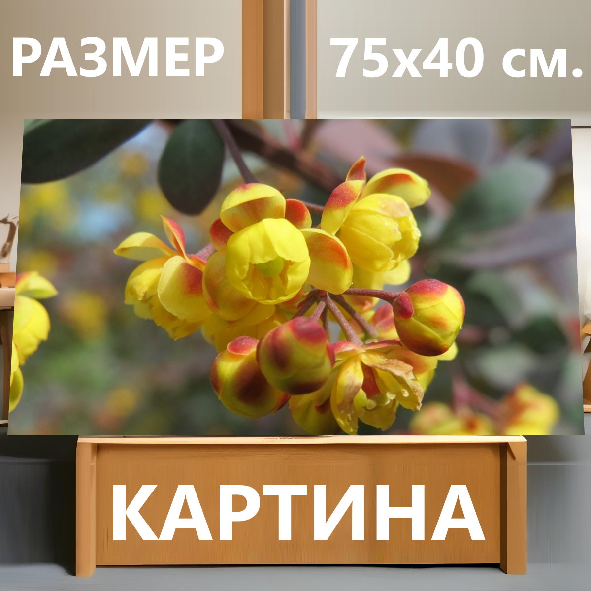 Картина на холсте "Берберис, барбарис, кустарник" на подрамнике 75х40 см. для интерьера