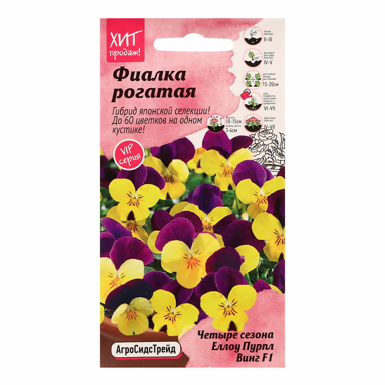 Семена Цветов Фиалка "Еллоу Пурпл Винг", 5 шт, цветение период: август