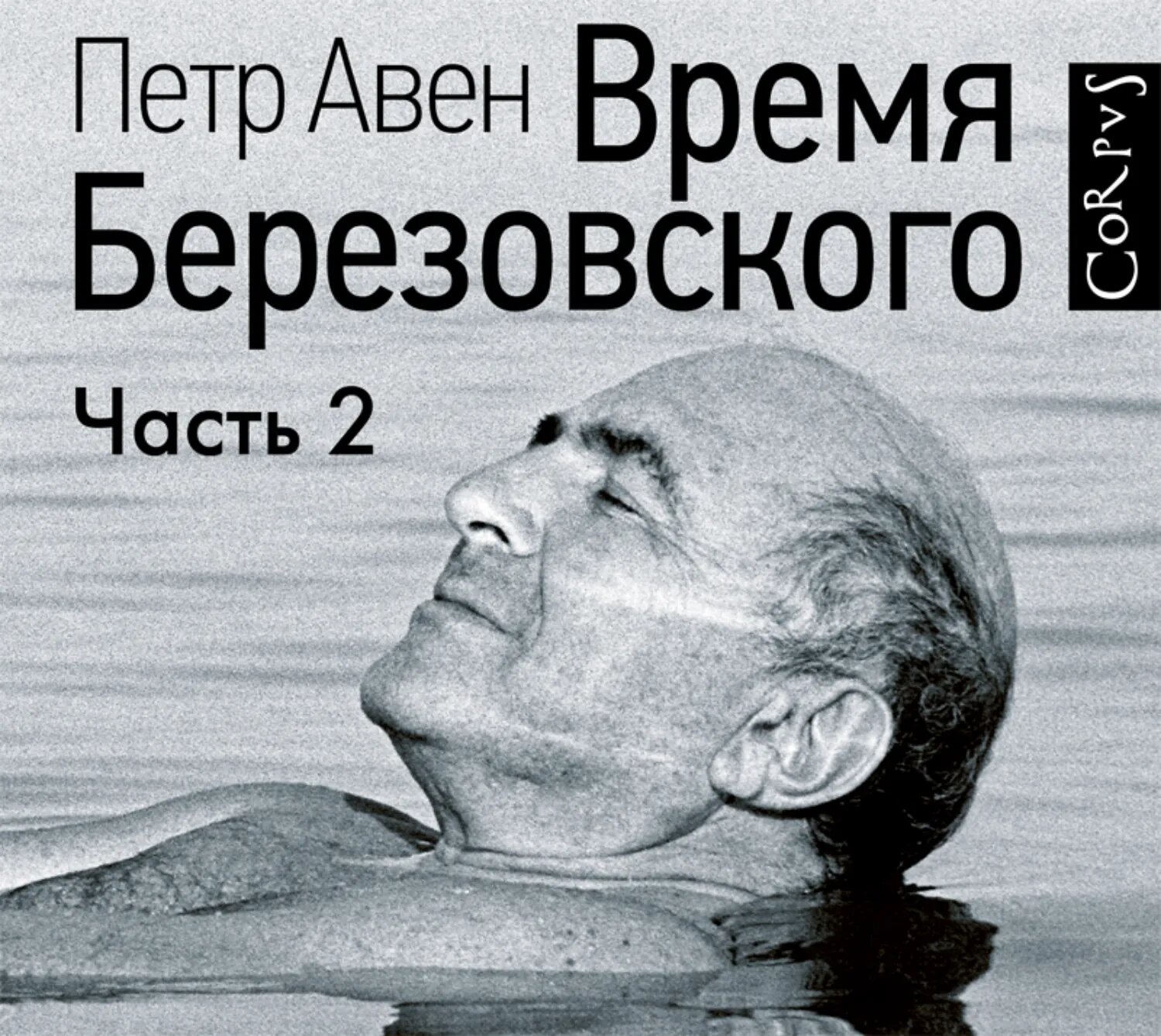 Время Березовского (часть 2-я) [Аудиокнига]