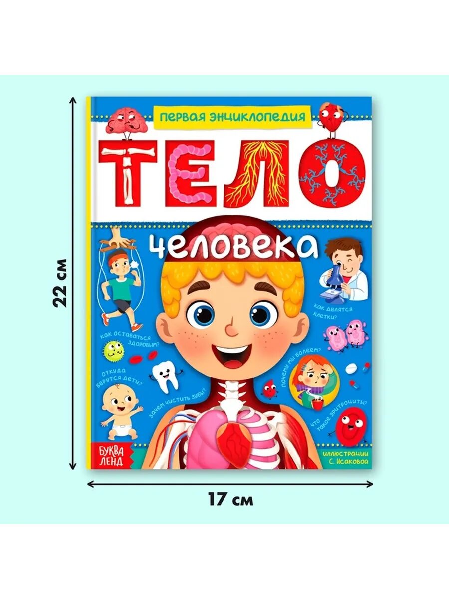 Образовательная книга о теле для детей