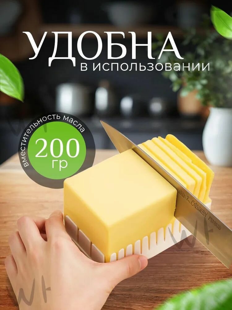 Масленка, сырница — фото 1