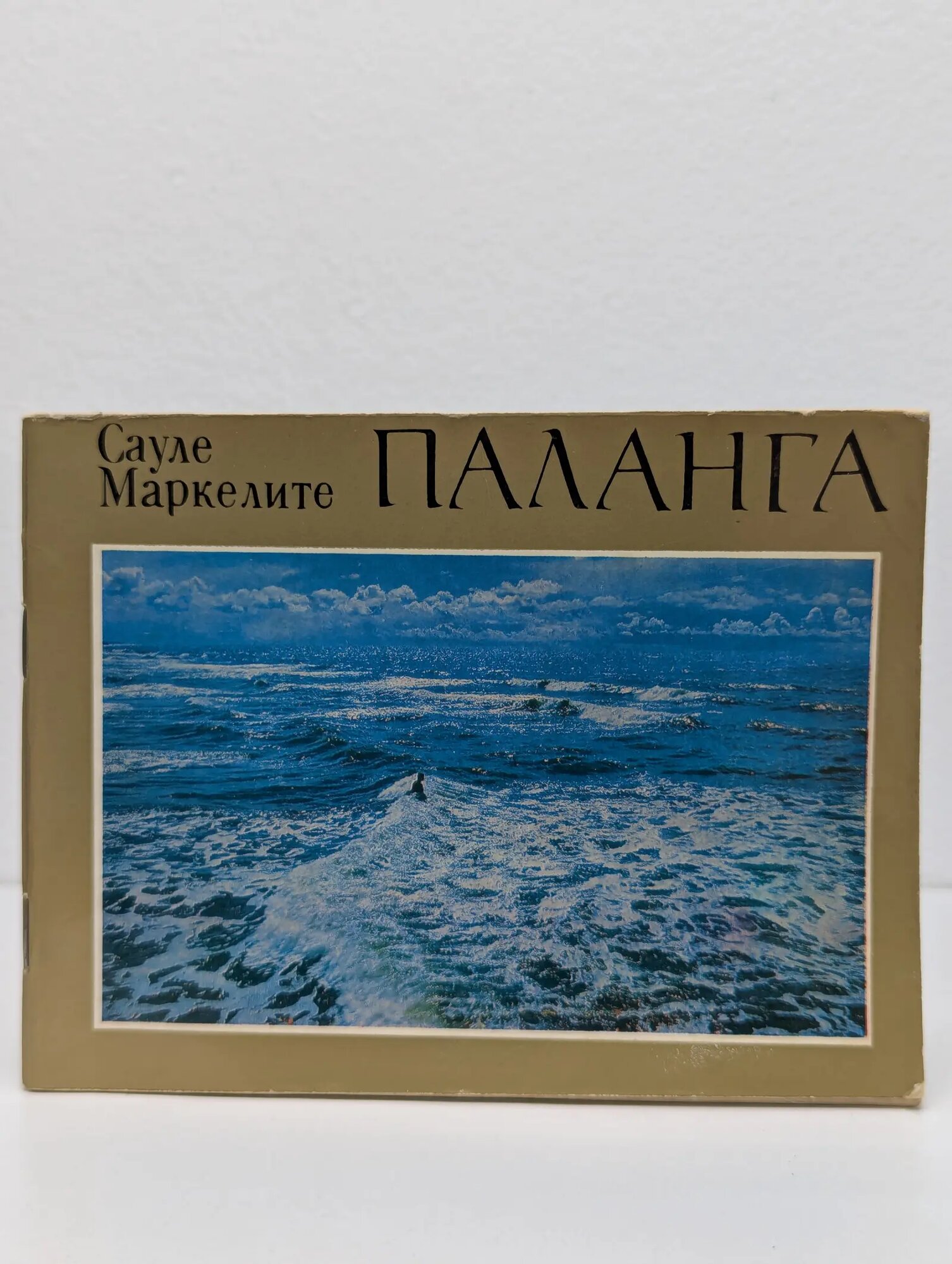 Паланга Маркелите Сауле Стасевна 1979