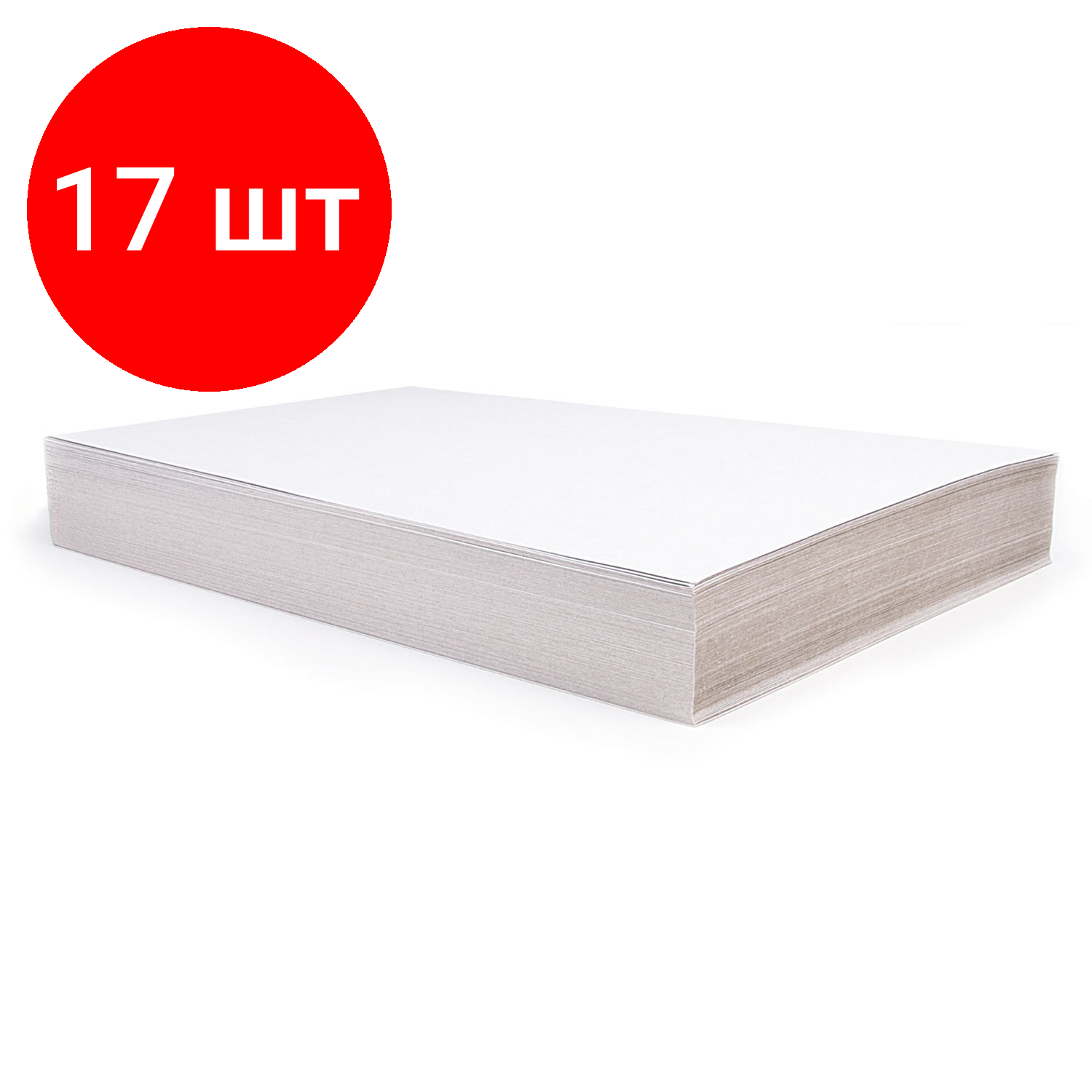 Комплект 17 шт, Картон для подшивки документов А4, немелованный, 100 листов, 260 г/м2, BRAUBERG, 210х297 мм, 124877