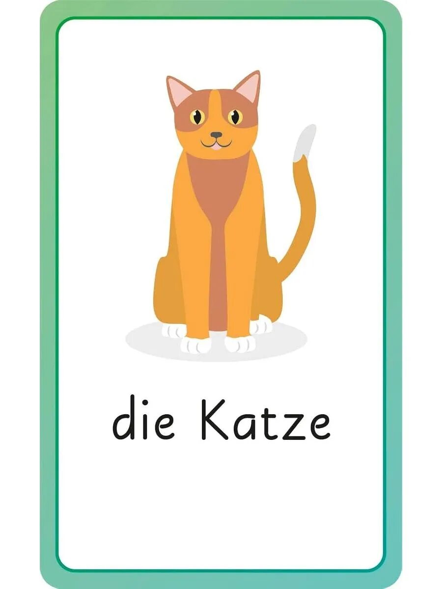 German for Everyone Junior First Words Flash Cards | Dorling Kindersley — фото 1