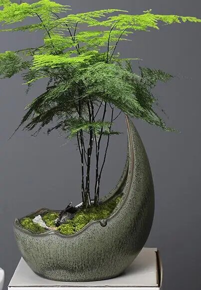 Керамический горшок BenRussell "Рог носорога", зеленый