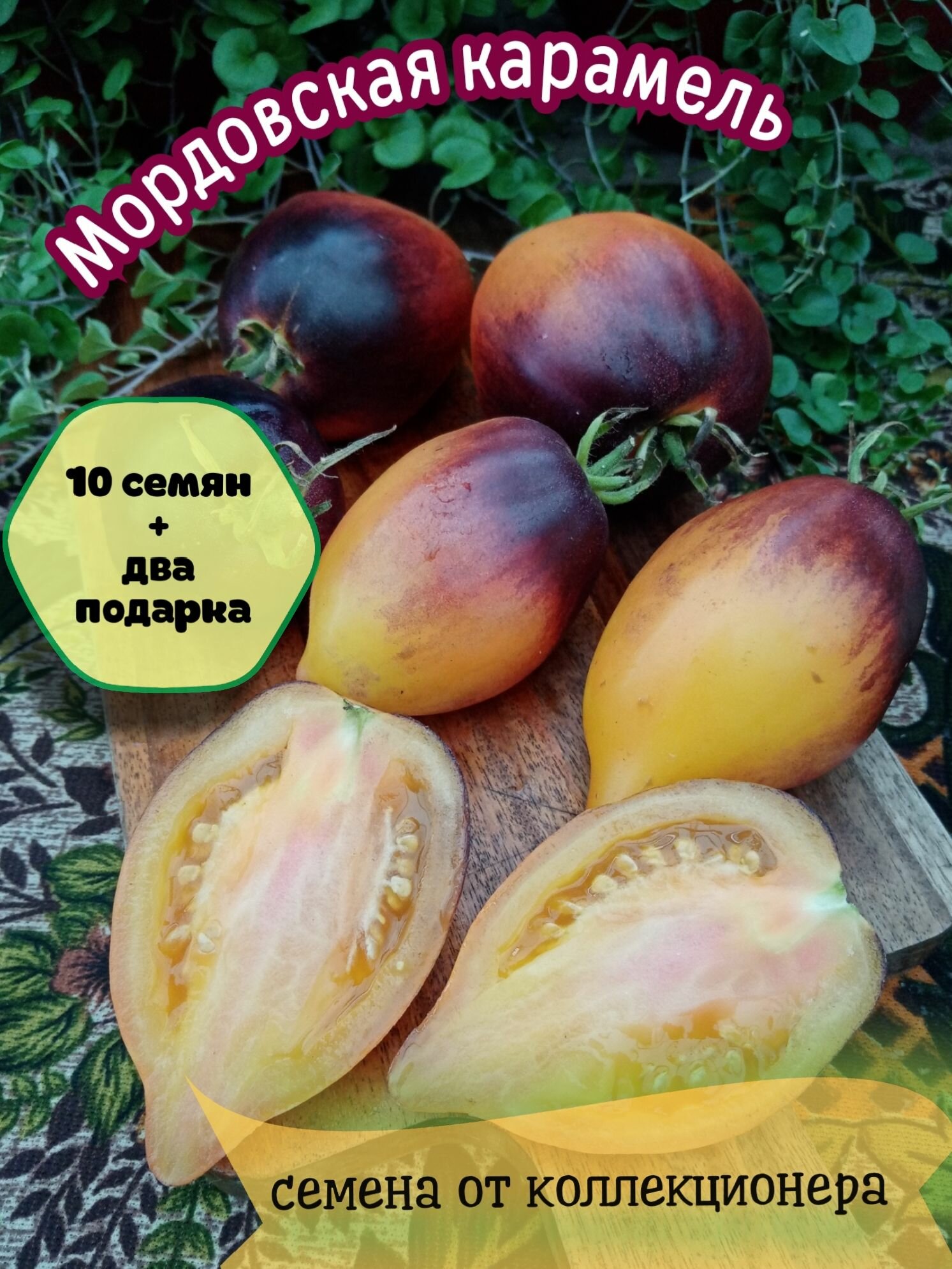 Томат "Мордовская карамель", селекция Николая Жегалина, республика Мордовия, Россия