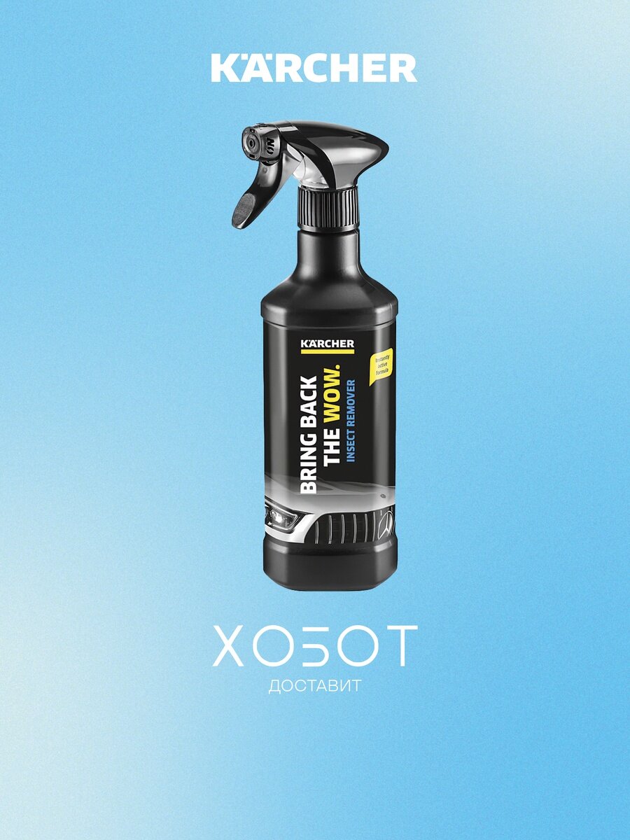 А. Пылесос Чистящие средства Karcher RM 500 для стекол (6.295-796.0)