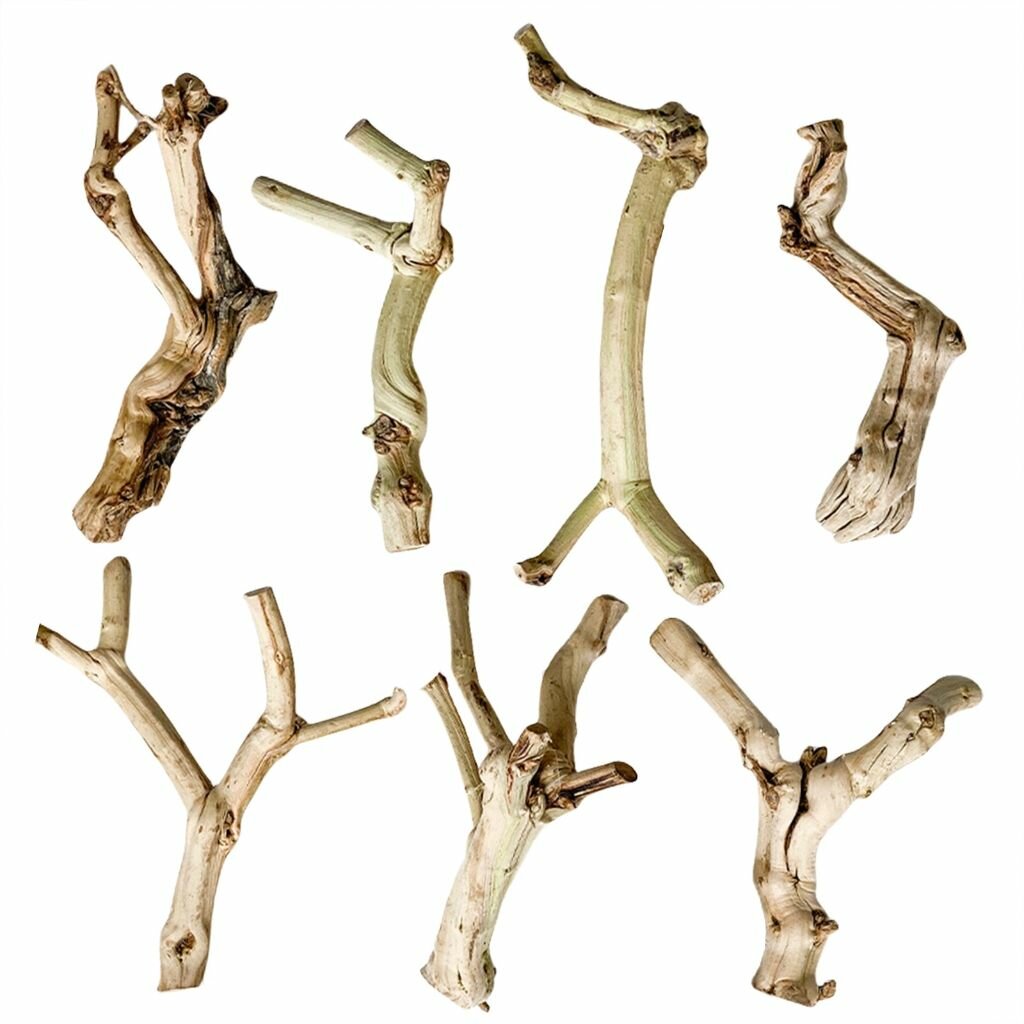 Украшение ландшафтного дизайна рептилиями из коряг- от 25 до 30 см