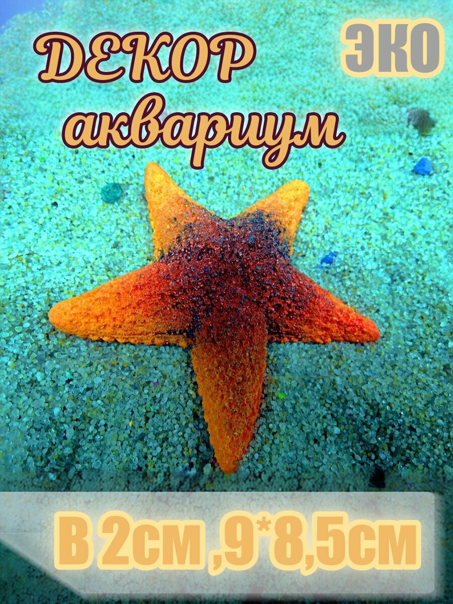 Морская звезда коралл ЭКО "Звезда Пористая", ручная работа, биопластик, высота 2 см, длина 9 см