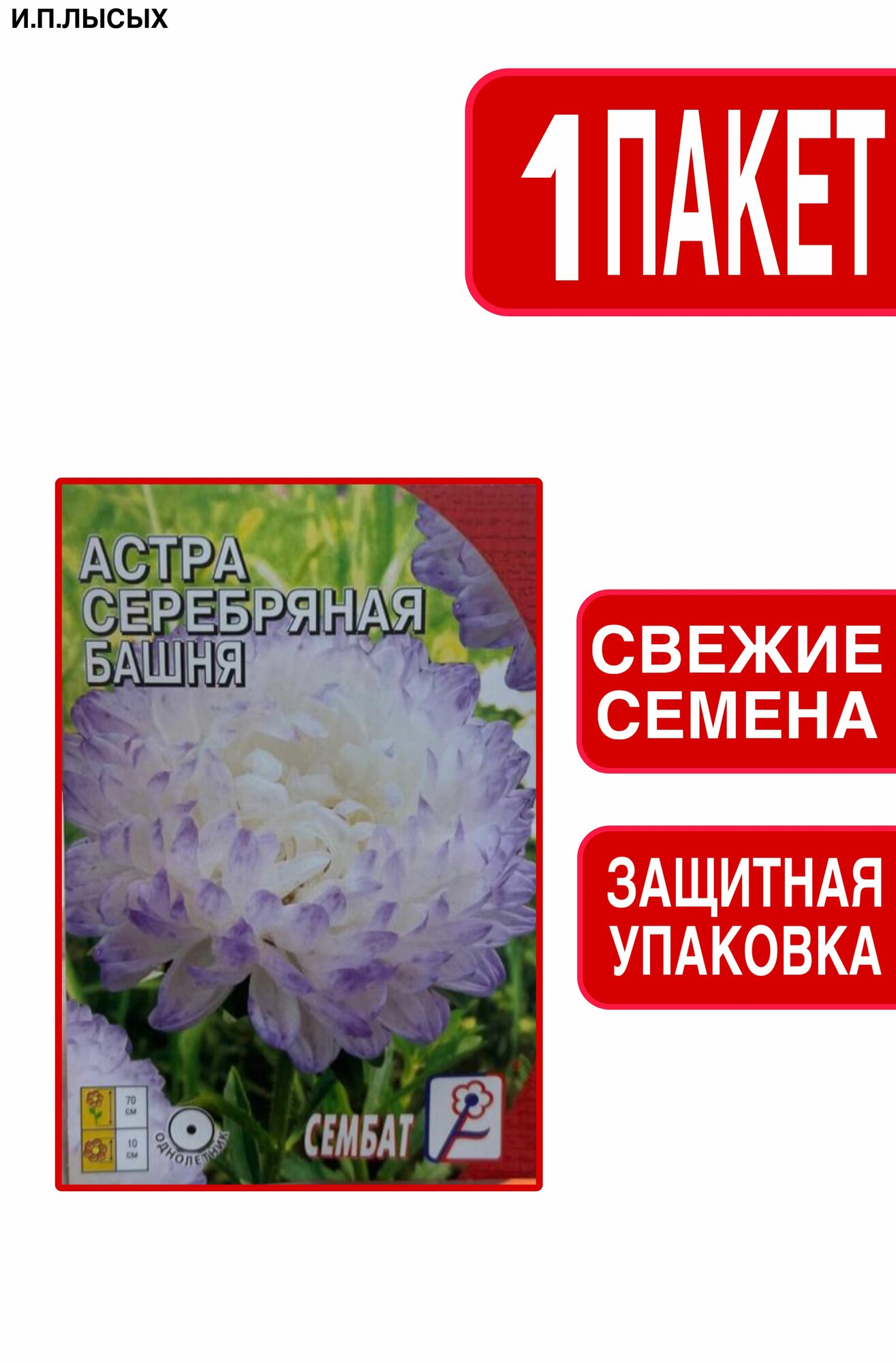 Семена Астра "Серебряная Башня"