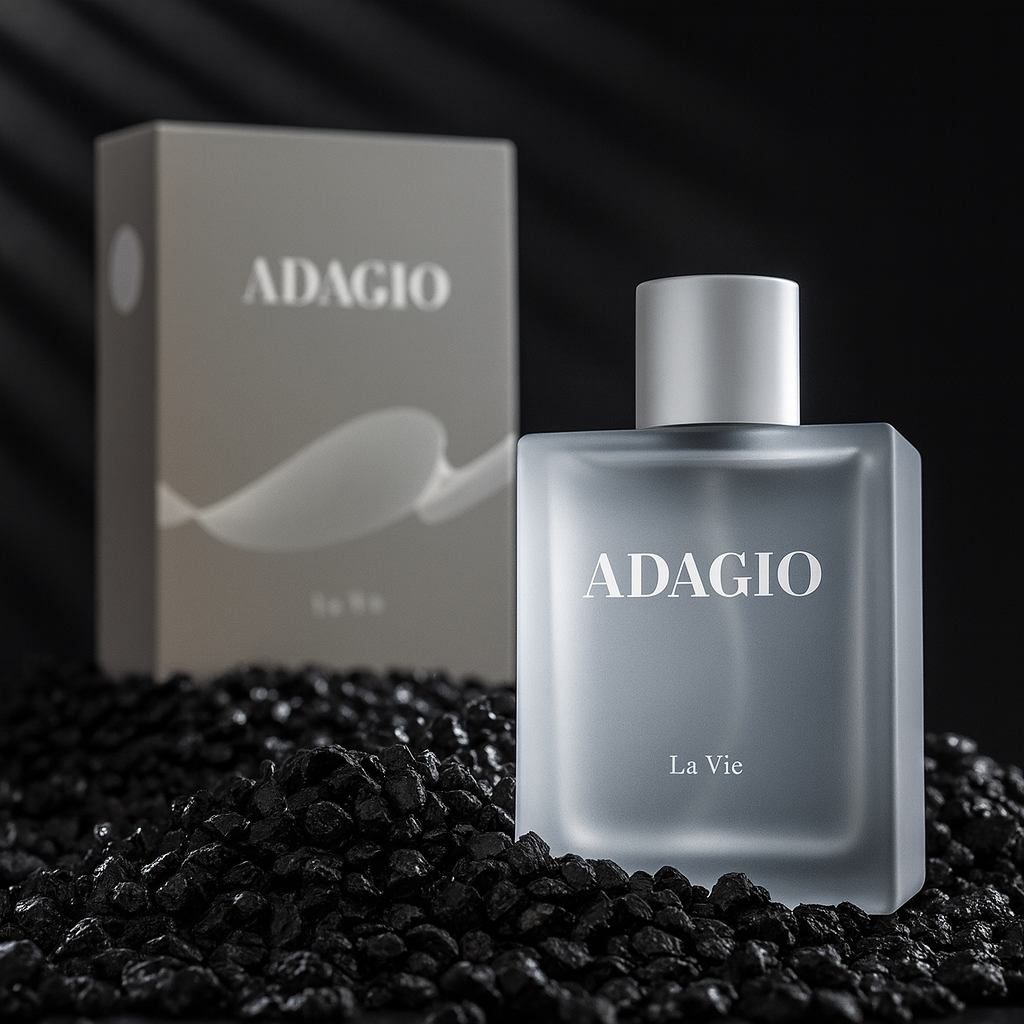 Туалетная вода DILIS Adagio La Vie, мужская, фужерный аромат, 100мл