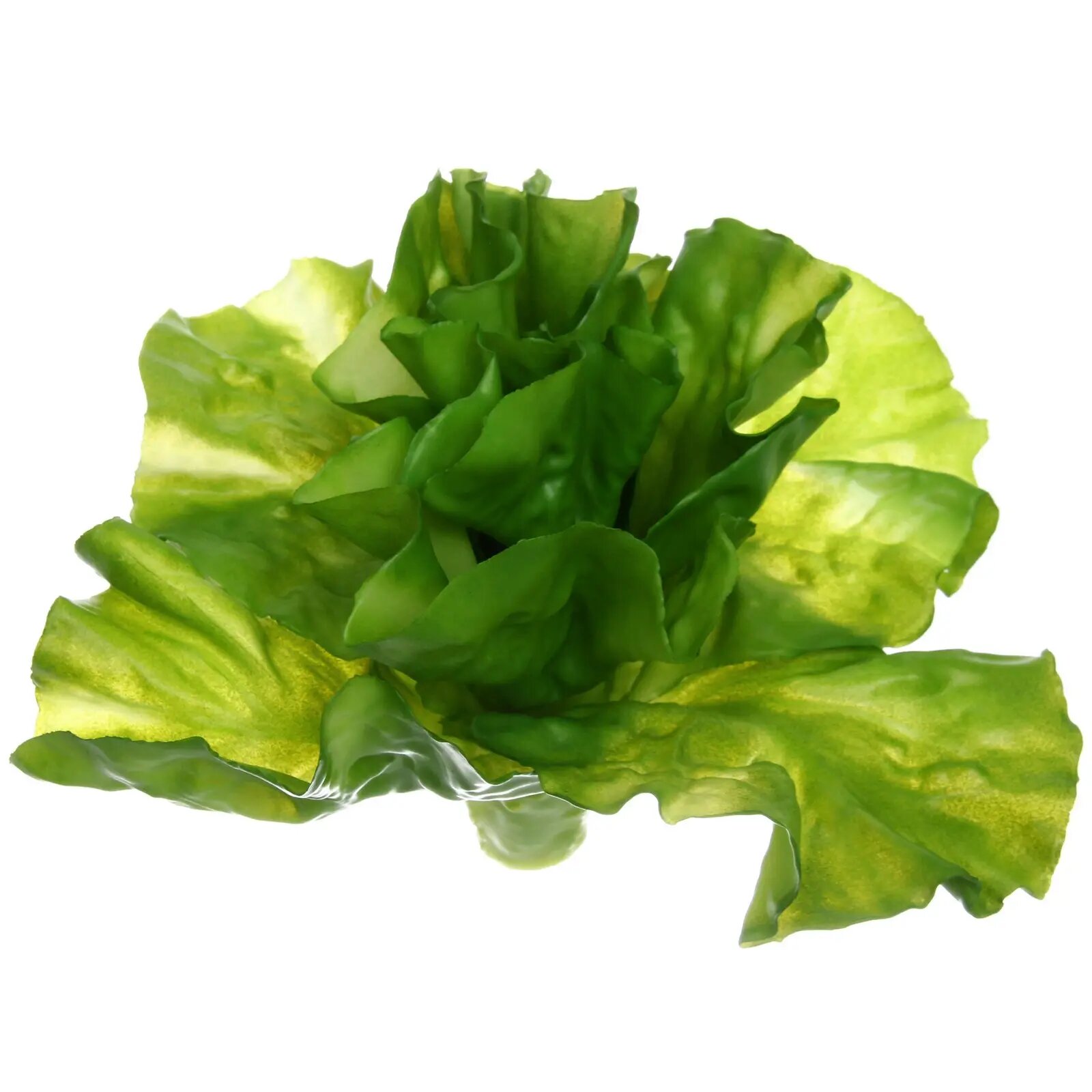 Муляж салата латук 17х15см, пластиковый, светло-зеленый цвет