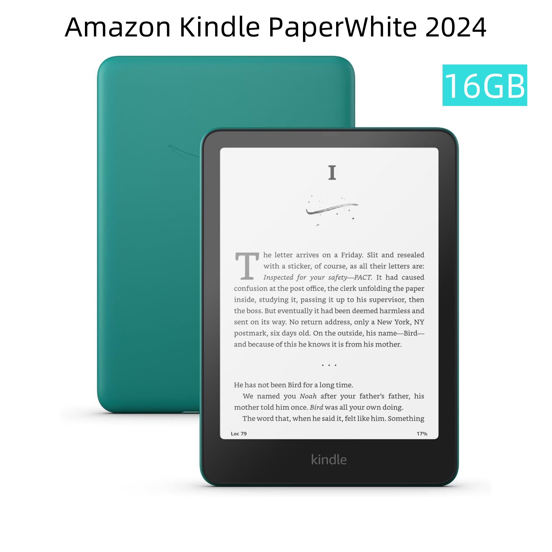 Электронная книга Amazon Kindle PaperWhite 12 2024 16ГБ зеленый