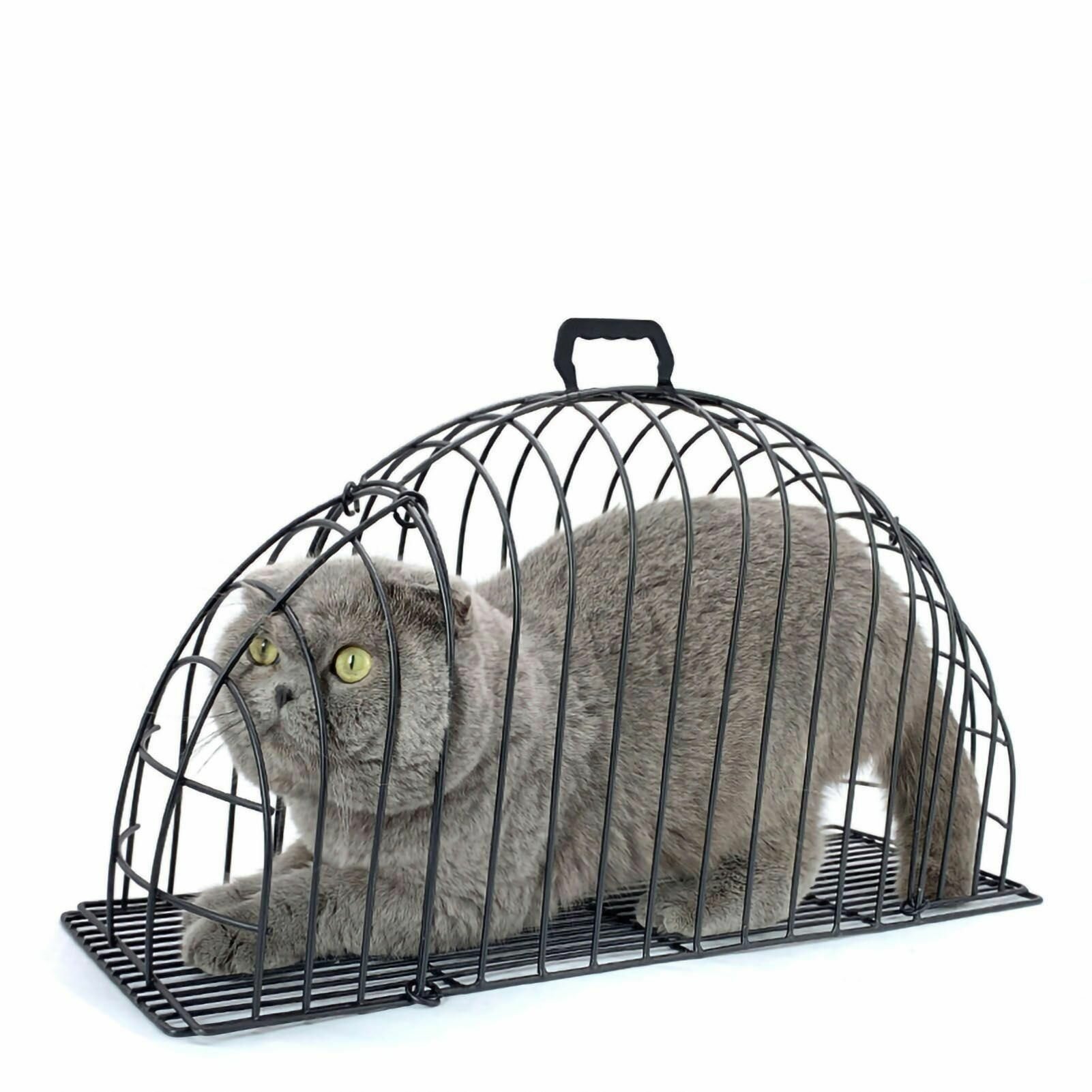 Клетка для мытья кошек