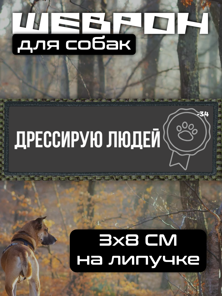Шеврон на липучке для собак Дрессирую людей фраза