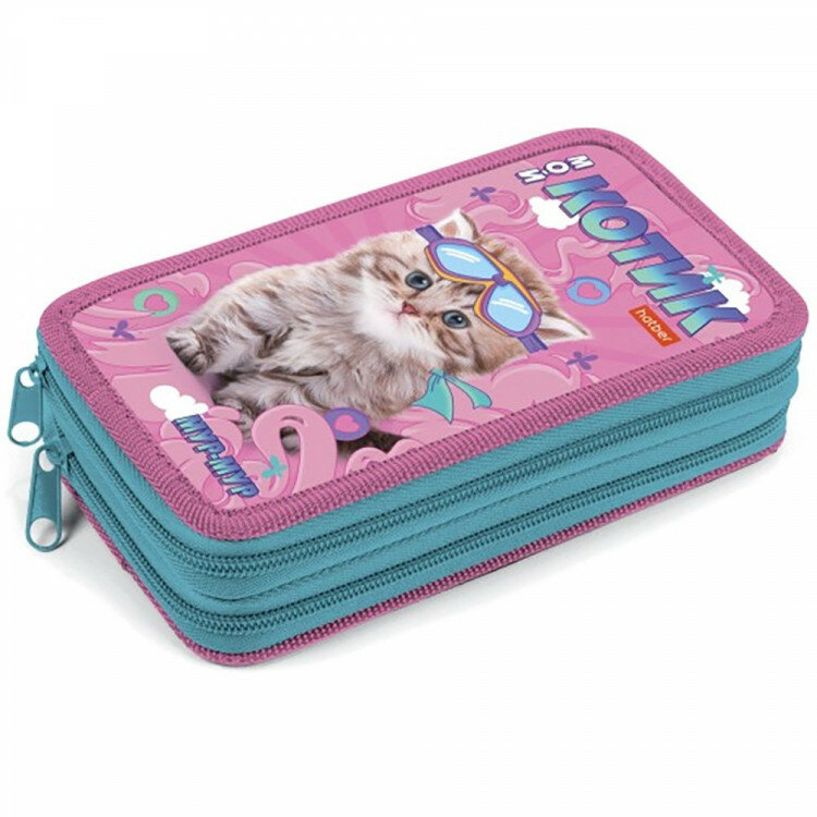 Пенал 2 отделения (Hatber) Мой котик 190х110мм глянцевая ламинация с таблицей умножения арт. NPn_47078