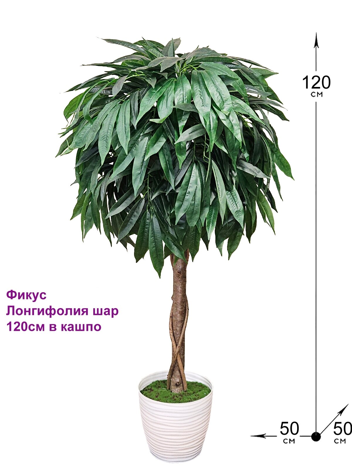 Фикус Лонгифолия на штамбе 120см в кашпо от ФитоПарк, искусственные деревья в горшках