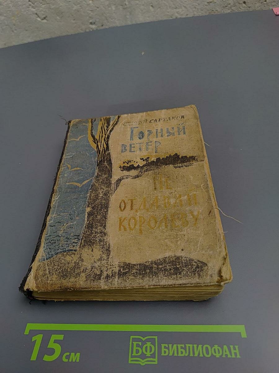 Горный ветер. Не отдавайте королеву