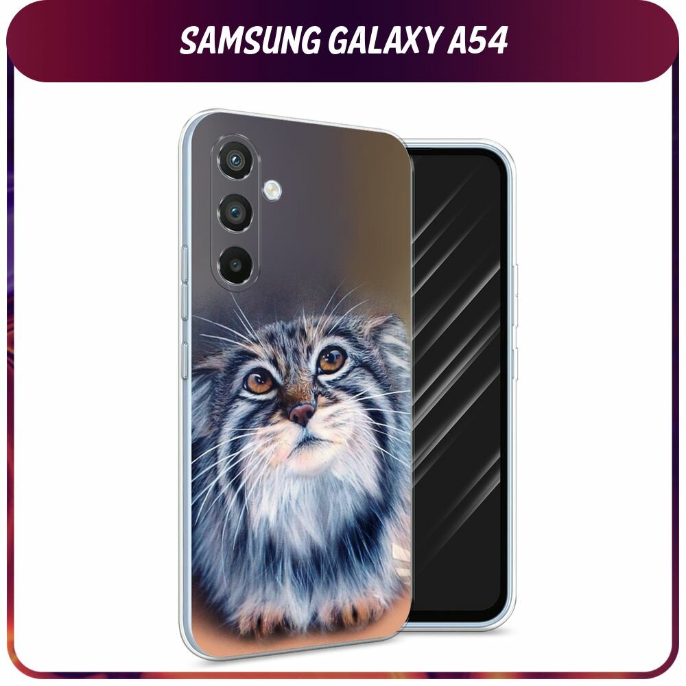 Чехол на Samsung Galaxy A54 / Самсунг A54 с принтом "Кот манул 2"