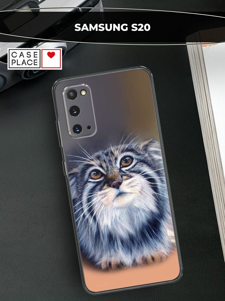 Чехол на Samsung Galaxy S20 / Самсунг Гэлакси S20 с принтом "Кот манул 2"