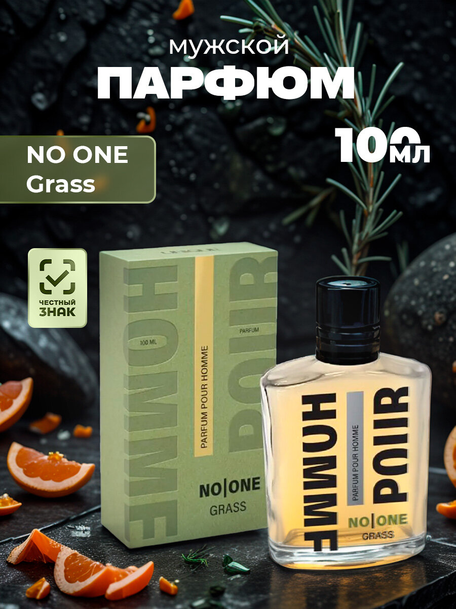Духи мужские стойкие фруктовые Art Parfum No One Grass 100мл