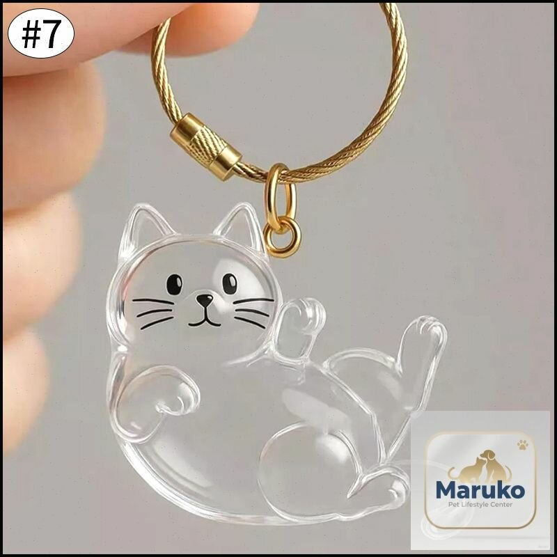 Прозрачная капсула для хранения кошачьей шерсти, пластиковый контейнер-брелок, коллекционный аксессуар для любителей кошек