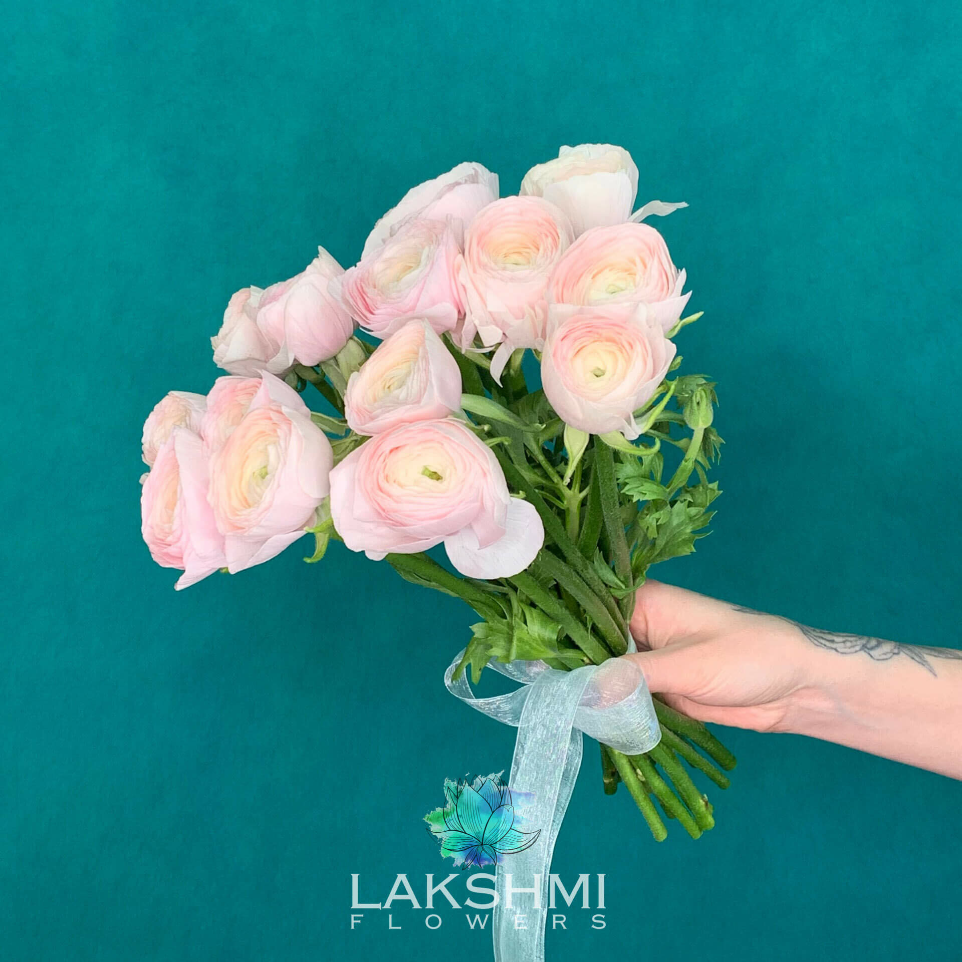 9 ранункулюсов / Букет из 9 кремовых ранункулюсов сорта «Ханой»