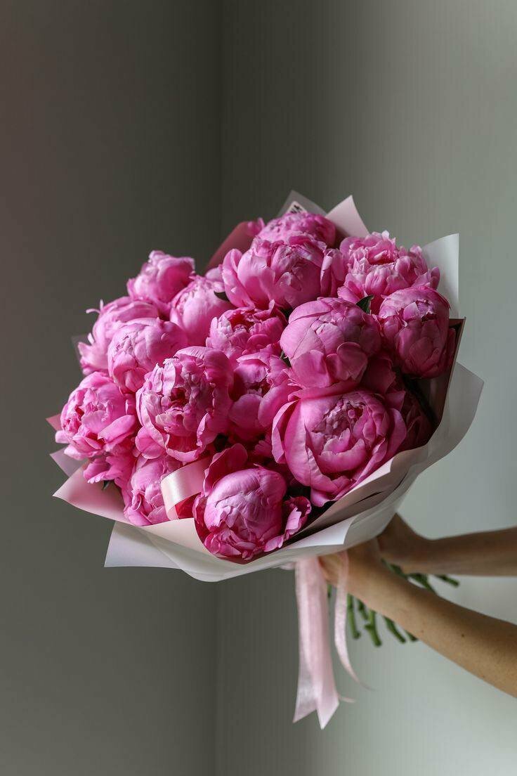 Монобукет "Коралловый розовый" из пионов, 19 цветов, для учителя, мамы, любимой, женщины