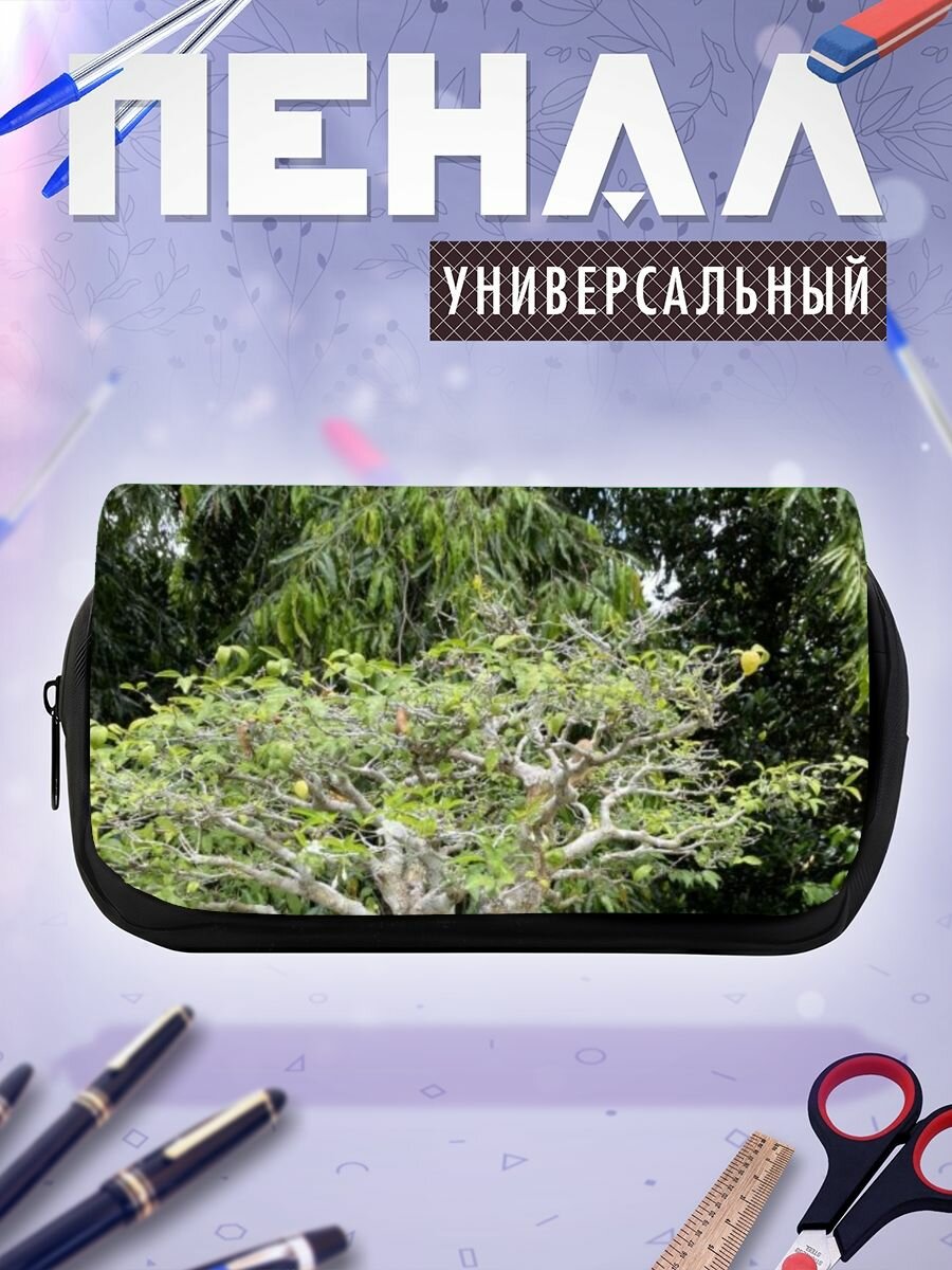 Школьный пенал дерево бонсай