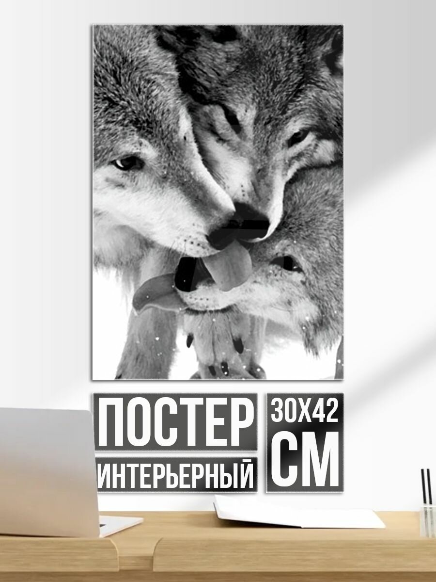 Постер на стену Волчья семья