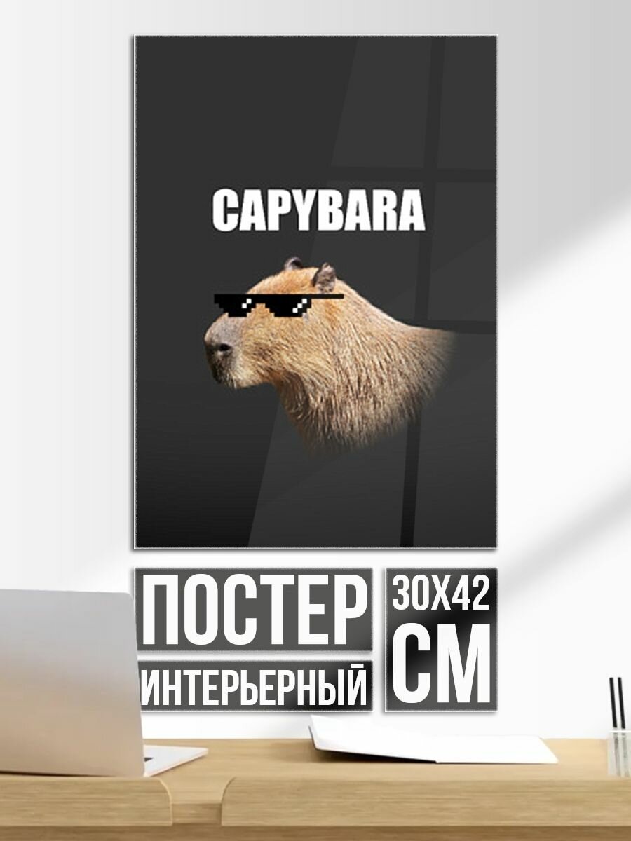 Постер на стену Прикольная капибара - мем