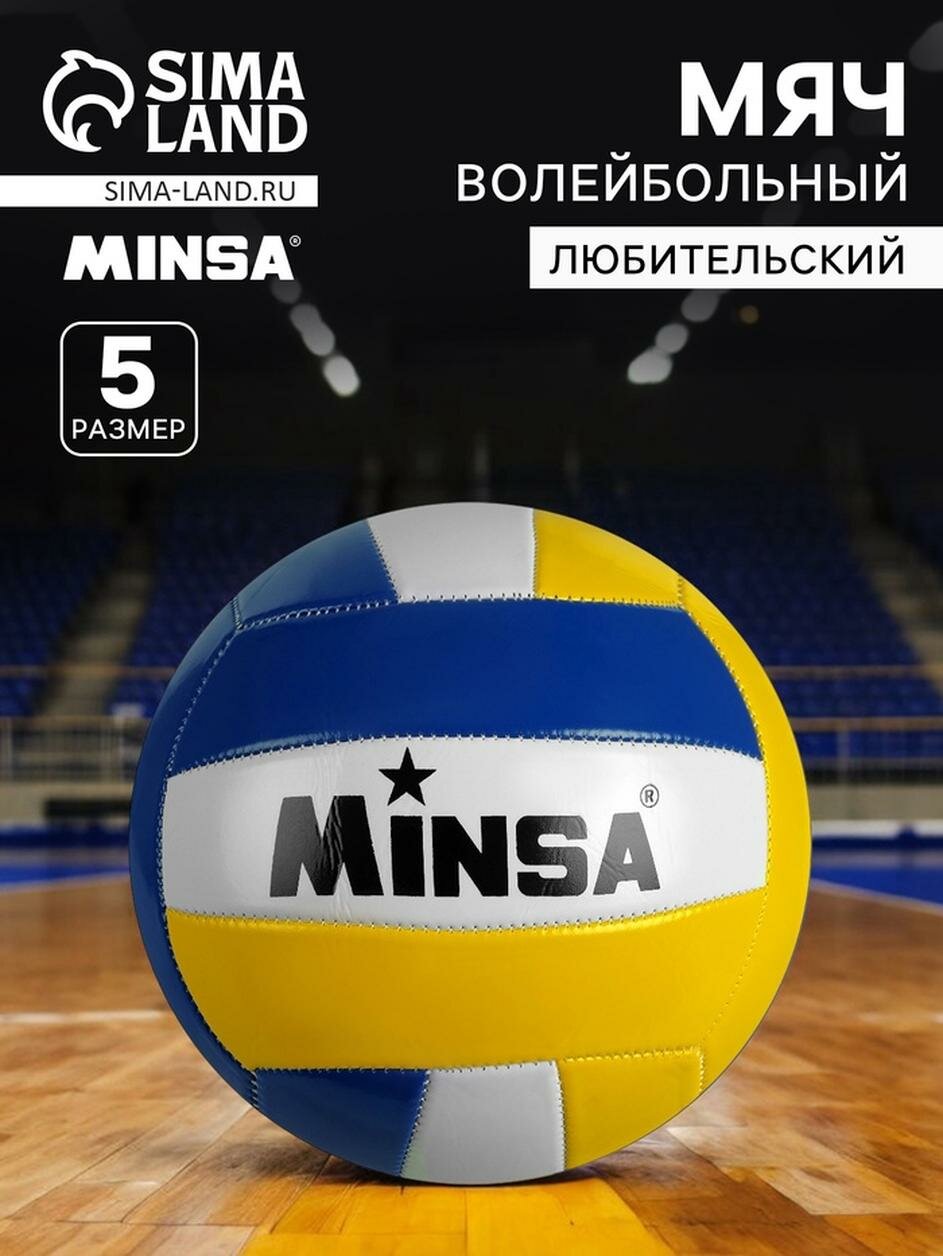 Мяч волейбольный Minsa, р. 5 (18 панелей, PVC, машинная сшивка)