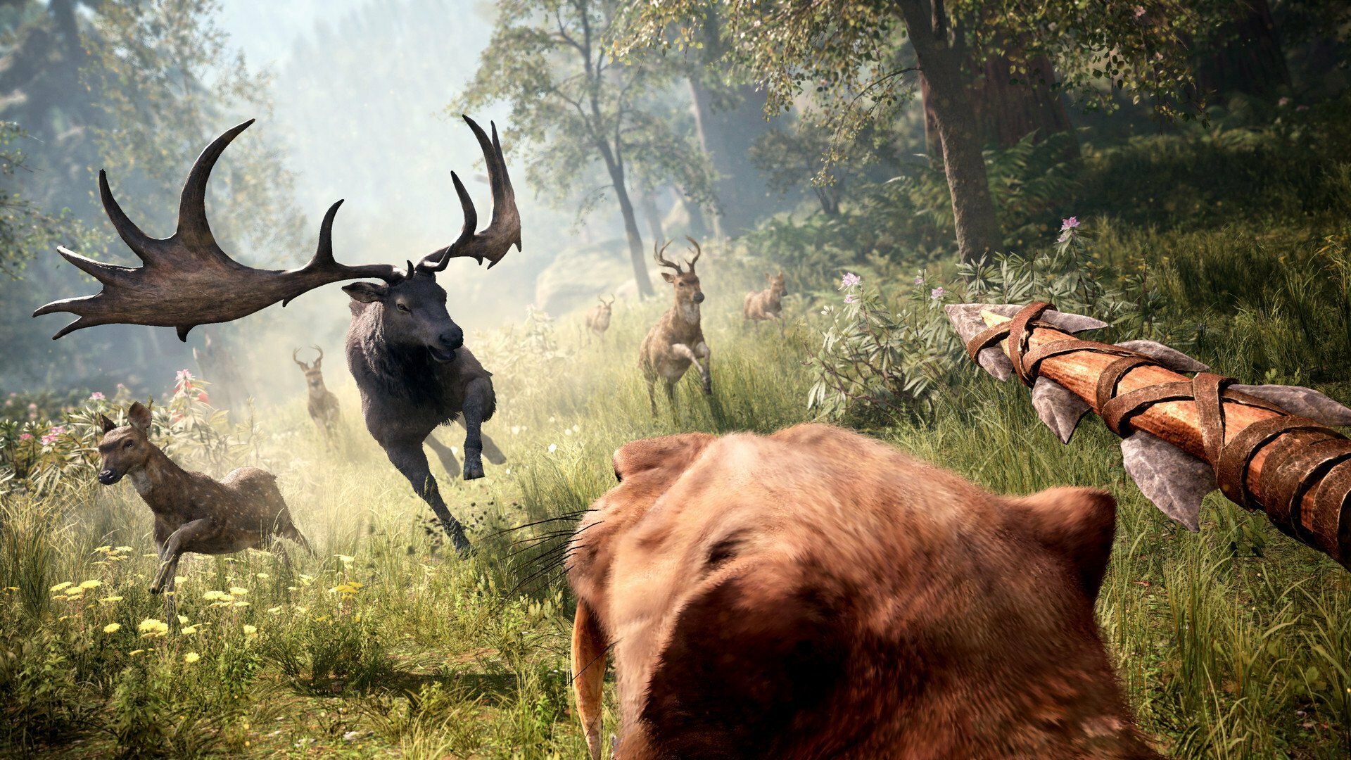 Игра Far Cry Primal для Playstation 4. Уцененный товар — фото 1