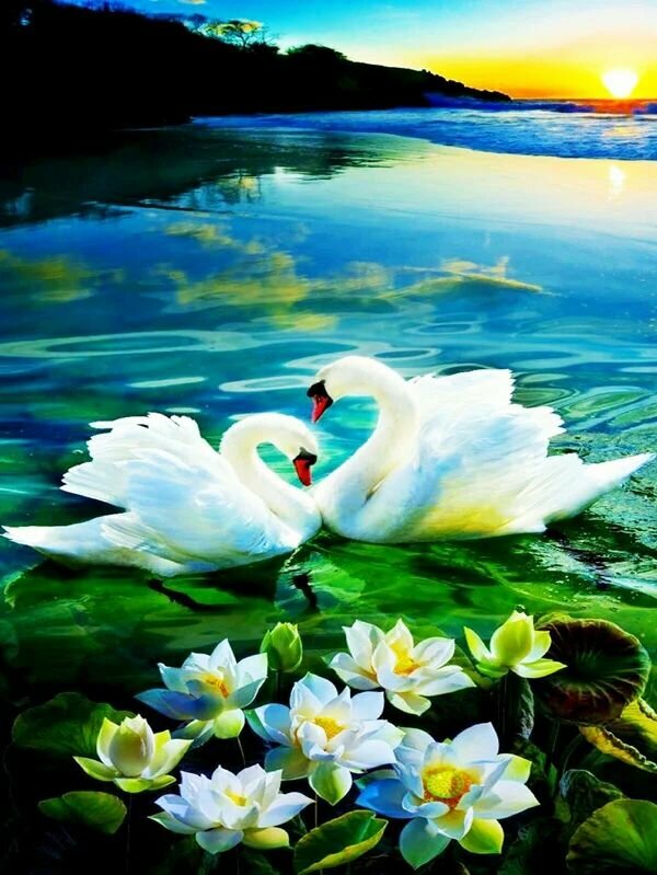 Алмазная картина "Павлин" алмазная огранка 40х50 см,40X50CM, белый