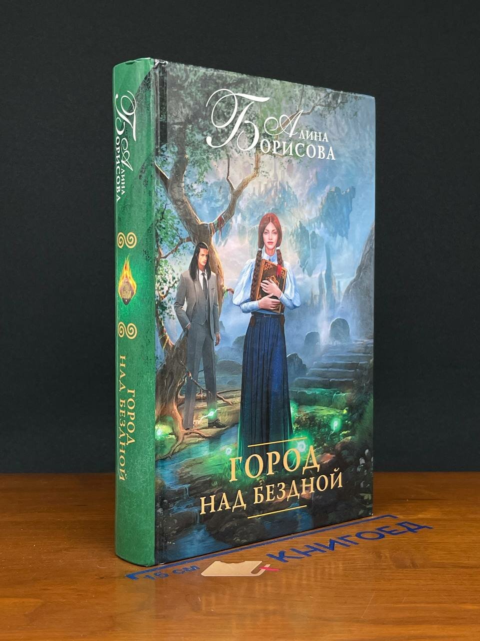 Книга. Город над бездной 2017 (2043903136788)