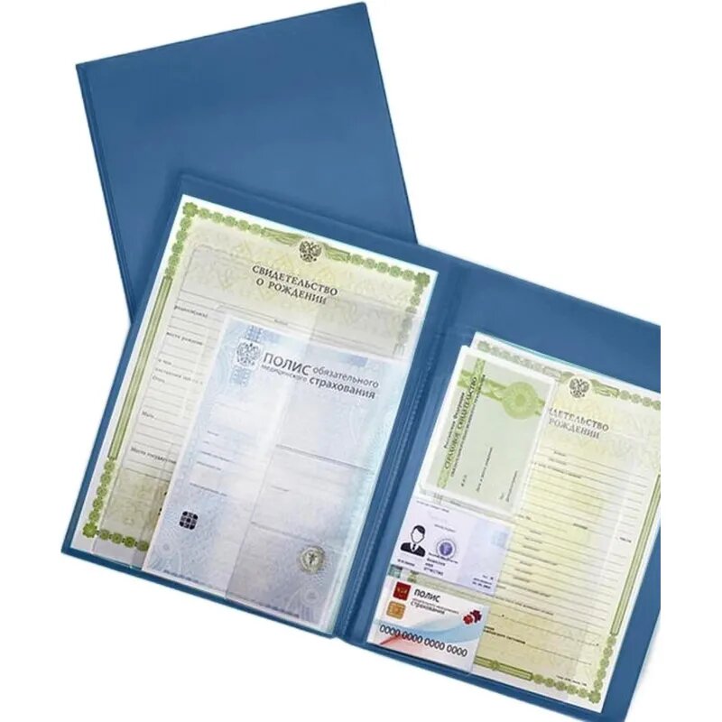 Папка файловая д/семейных док-ов Выбор есть А4, 16 файлов, синяя обложка 2162563