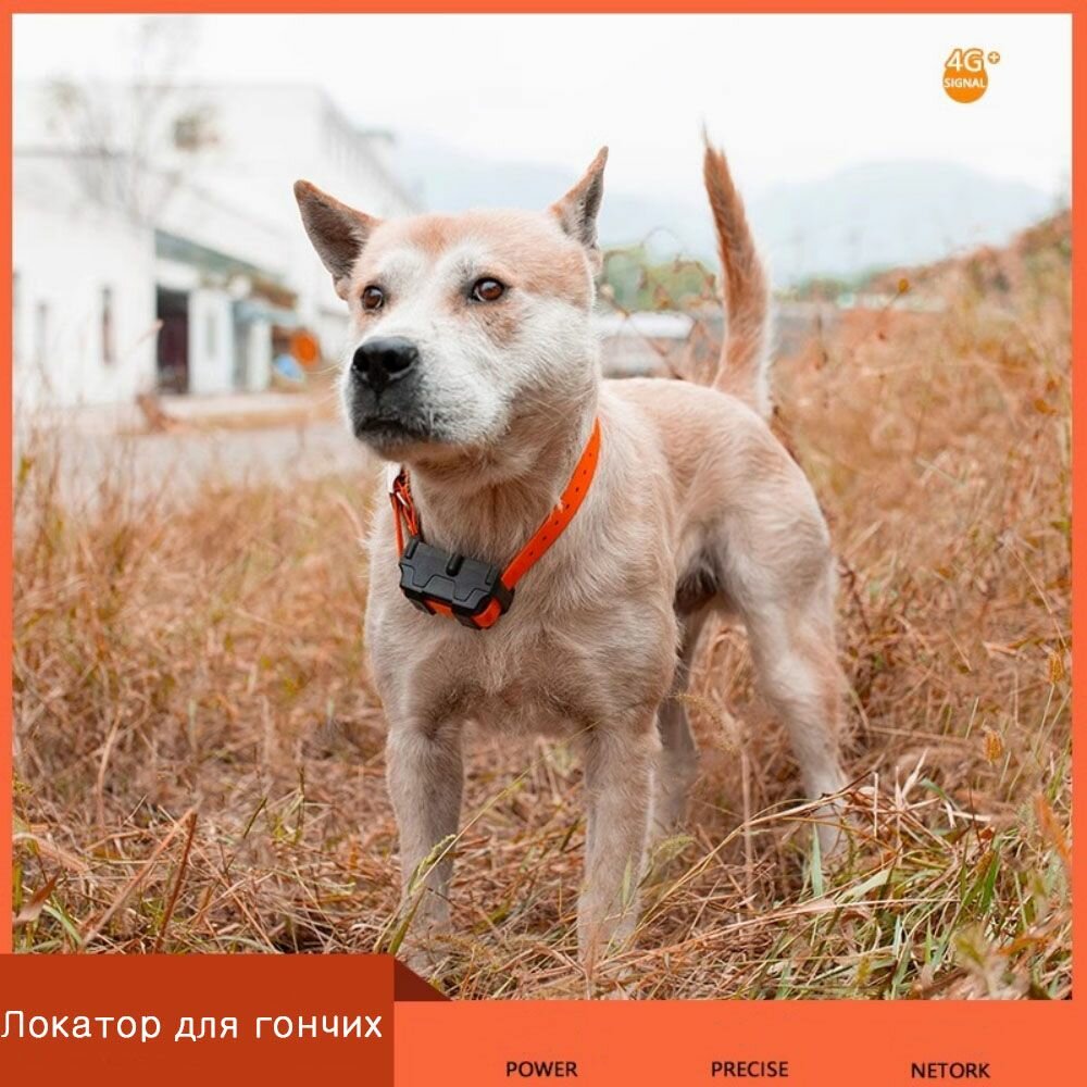 Локатор для охотничьих собак -lj
