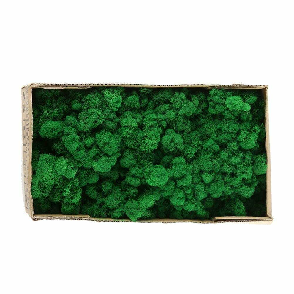 Сохраненный декоративный мох прочный натуральный сохраненный мох для домашних украшений