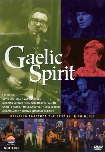 Gaelic Spirit-Best In Irish Music (US, Kultur, D4392, 1997, диск) DVD