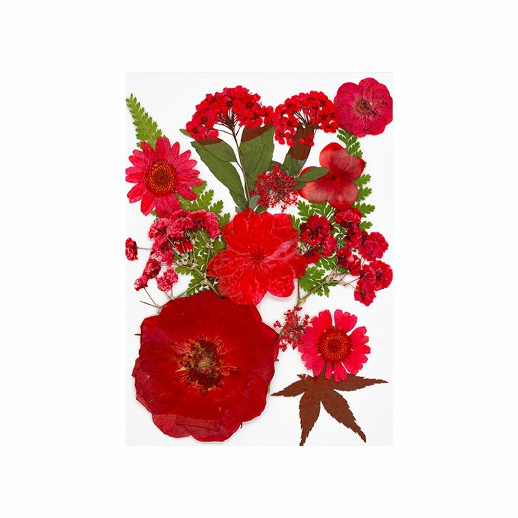 15шт Набор натуральных прессованных сухих цветочных листьев для изготовления свечей, закладки для художественного рукоделия из смолы, Изготовление ювелирных изделий для скрапбукинга