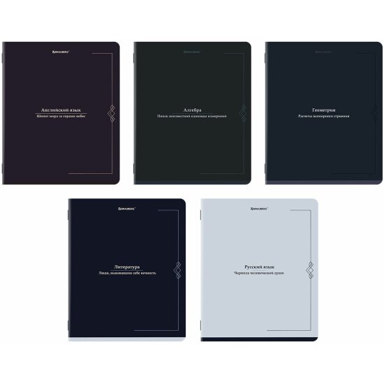 Тетради предметные Brauberg , комплект 5 предметов, 48 л, SoftTouch, "VINTAGE", 405188