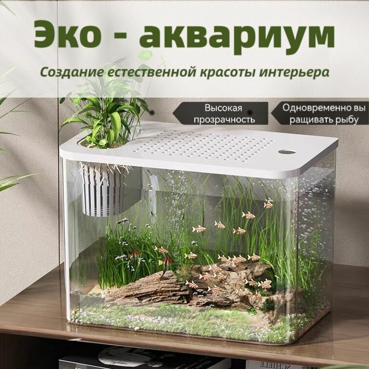 12 л Мини - настольный ландшафтный аквариум, прозрачное высокое разрешение, экологическая панорама