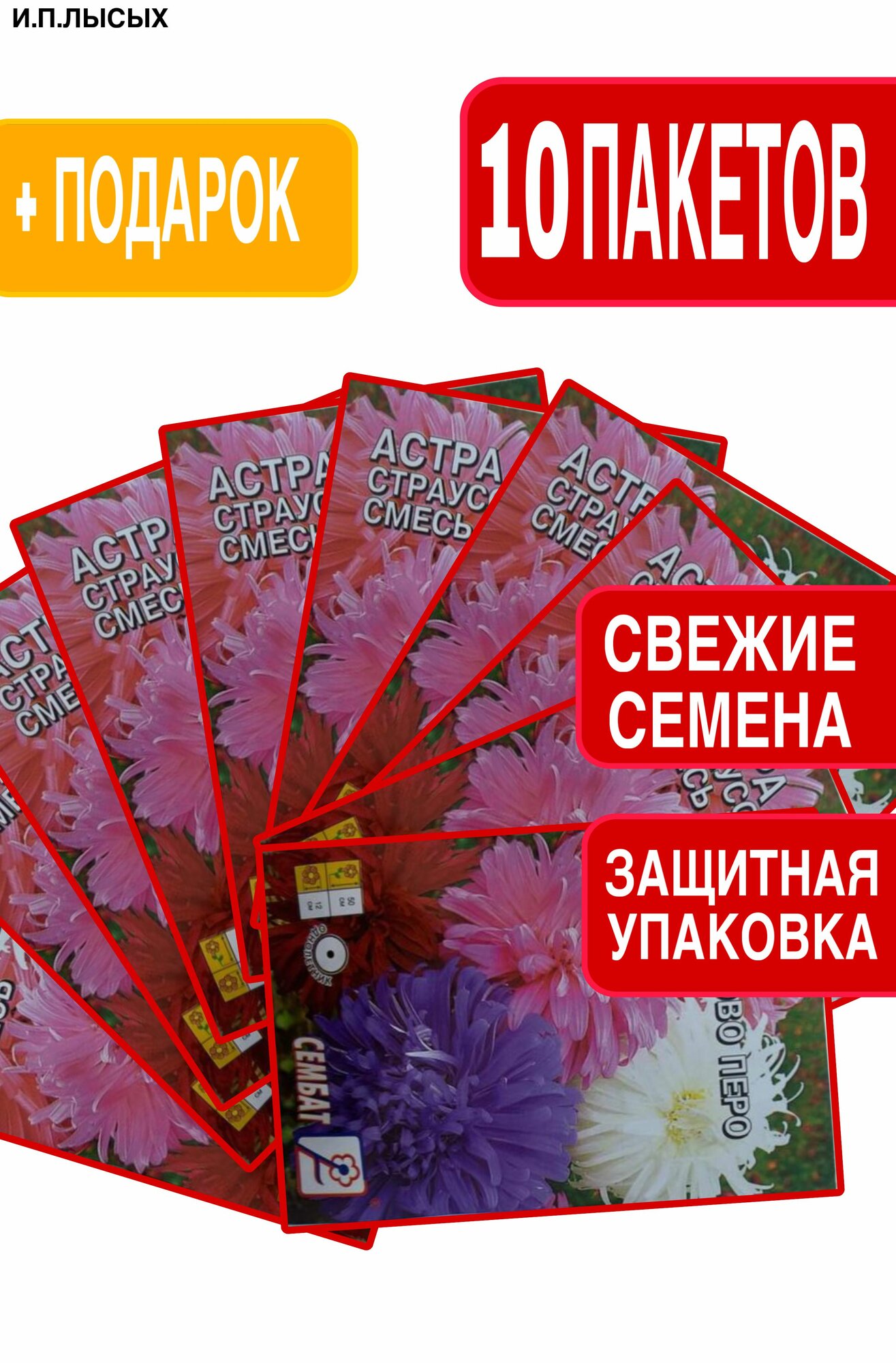 Семена Астра "Страусово перо смесь"