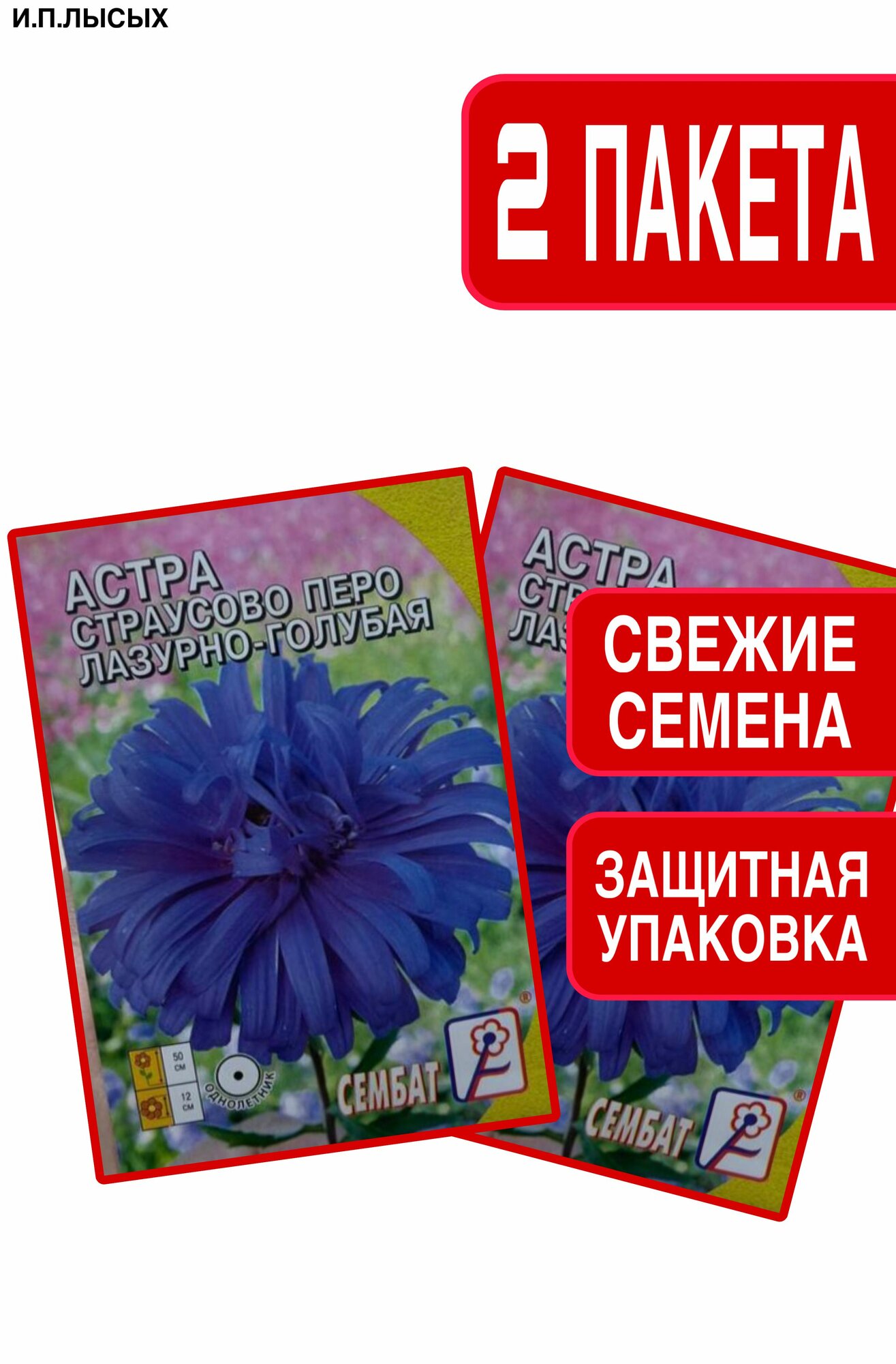 Семена Астра "Страусово перо Лазурно Голубая"