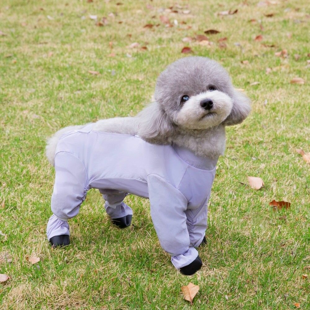 Одежда для собак утепленный комбинезон на четыре лапы для прогулок на улице