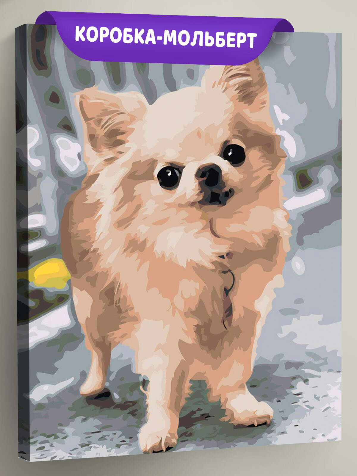 Картина по номерам на холсте с подрамником "Собаки: пушистая чихуахуа на улице" Раскраска 40x50 см, Животные Детская