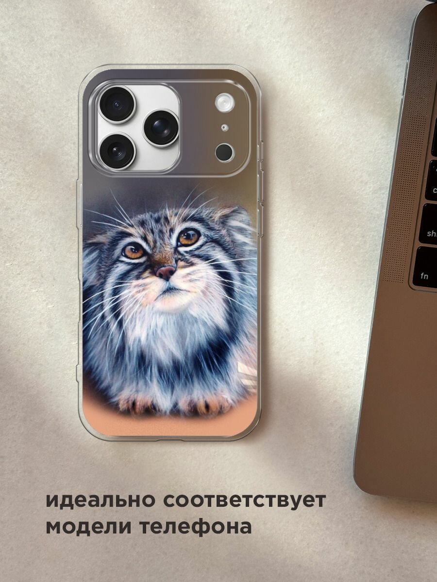 Чехол на Apple iPhone 17 Pro Max / Айфон 17 Про Макс с принтом "Кот манул 2" — фото 1